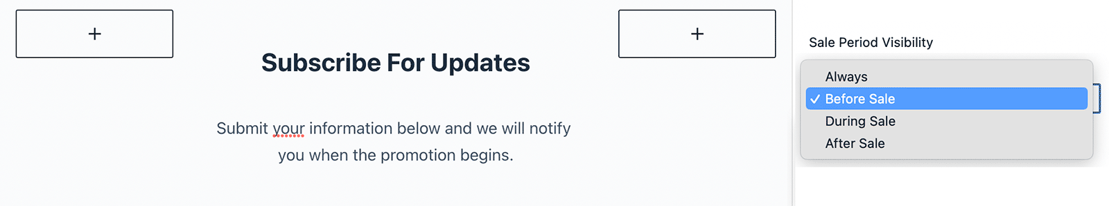 Sale Period Visibility Setting